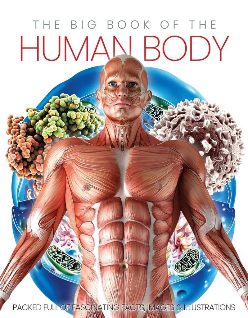 The Big Book of the Human Body - Captivating Science