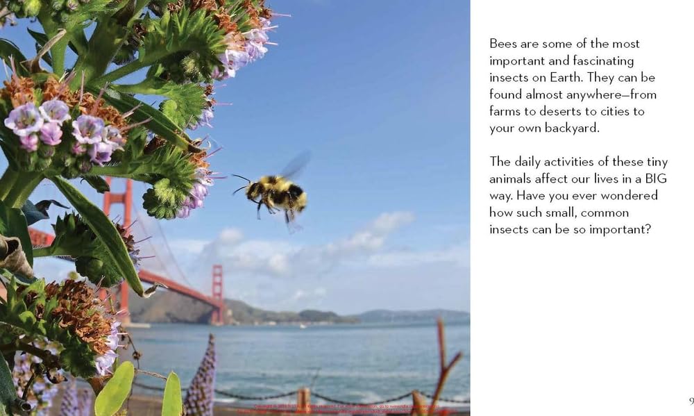 Next Time You See a Bee Book - Captivating Science