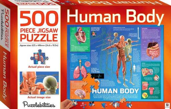 Human Body 500 Piece Jigsaw - Captivating Science